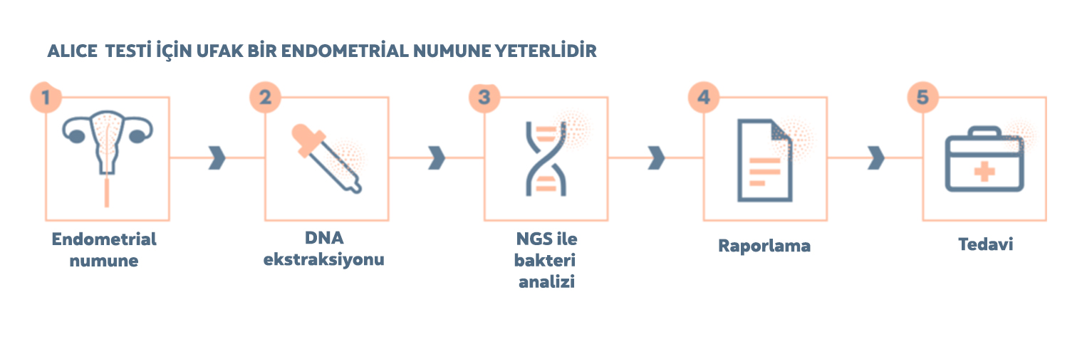 ALICE Enfeksiyöz Kronik Endometrit Analizi
