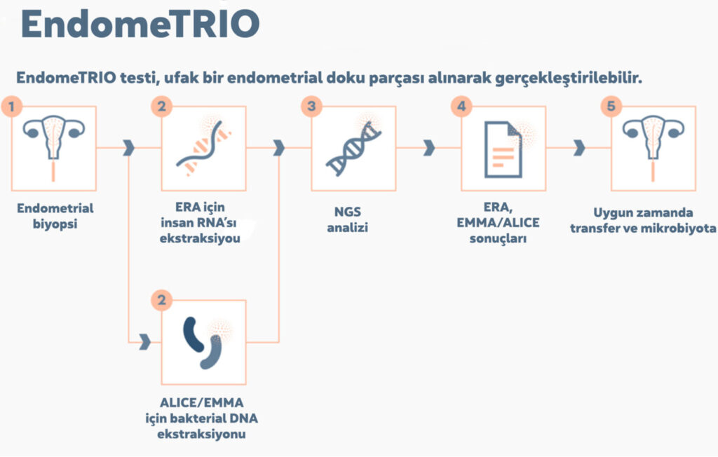 EndomeTRIO: The endometrium matters