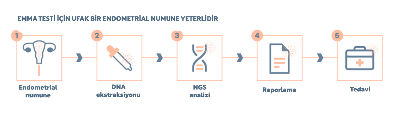 EMMA Endometrial Mikrobiyom Metagenomik Analizi